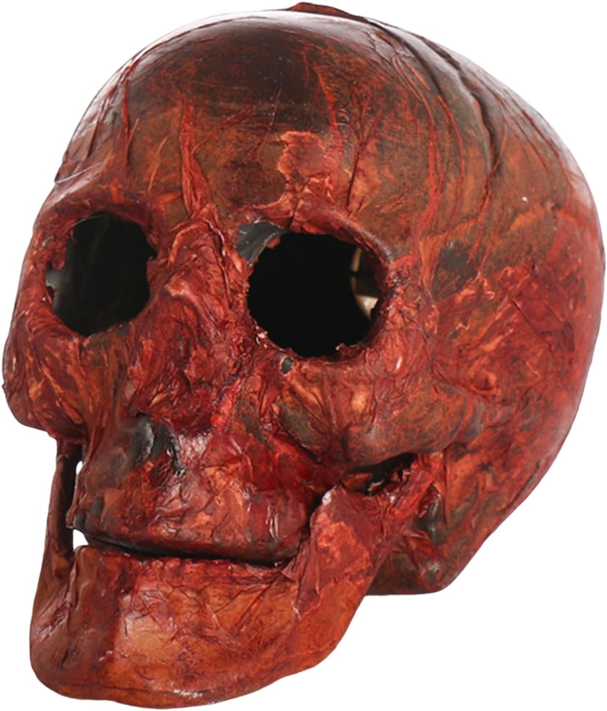 Amazon.com : AMAMIA Plastic Skull for Halloween Decoration 1:1 Life ...