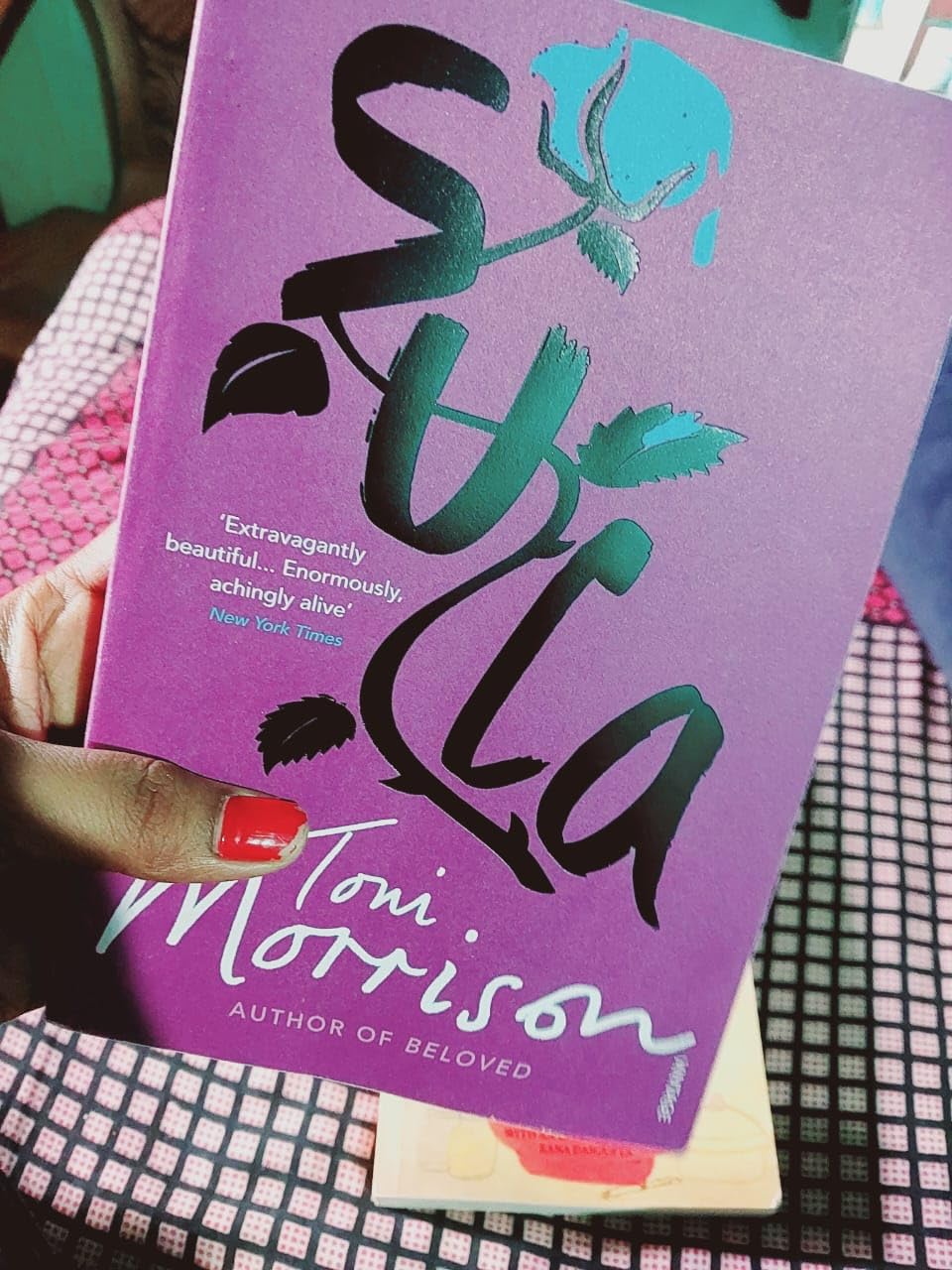 Buy Sula Book Online at Low Prices in India | Sula Reviews & Ratings ...