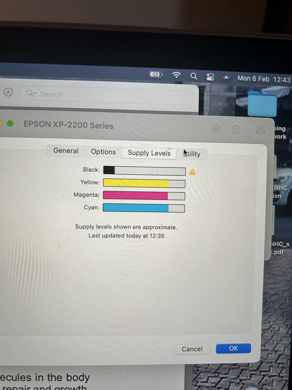 Epson 604 Pineapple, Genuine Multipack, Eco-Friendly Packaging, 4 ...