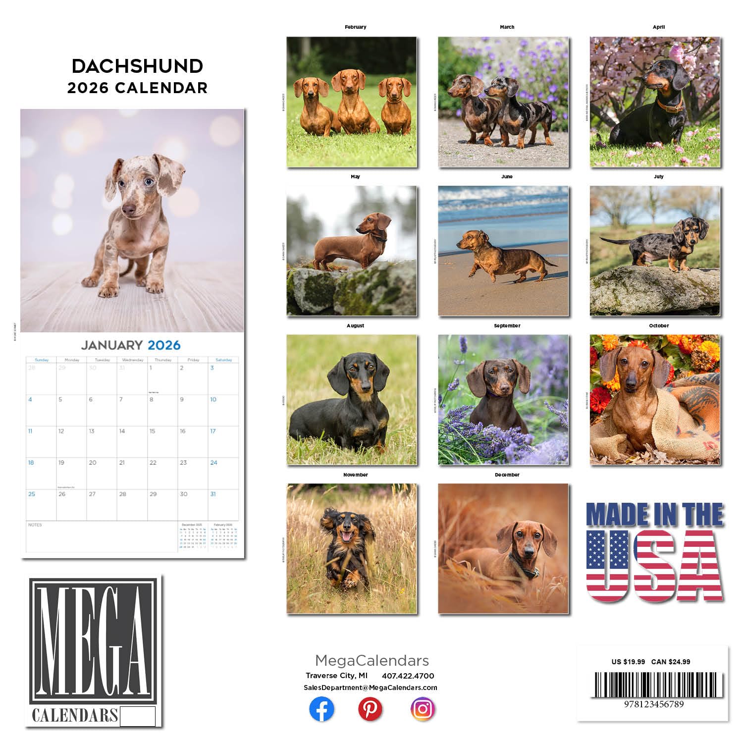 Snapklik.com : 2026 Dachshund Calendar - Dog Breed Wall Calendar - 12 X ...