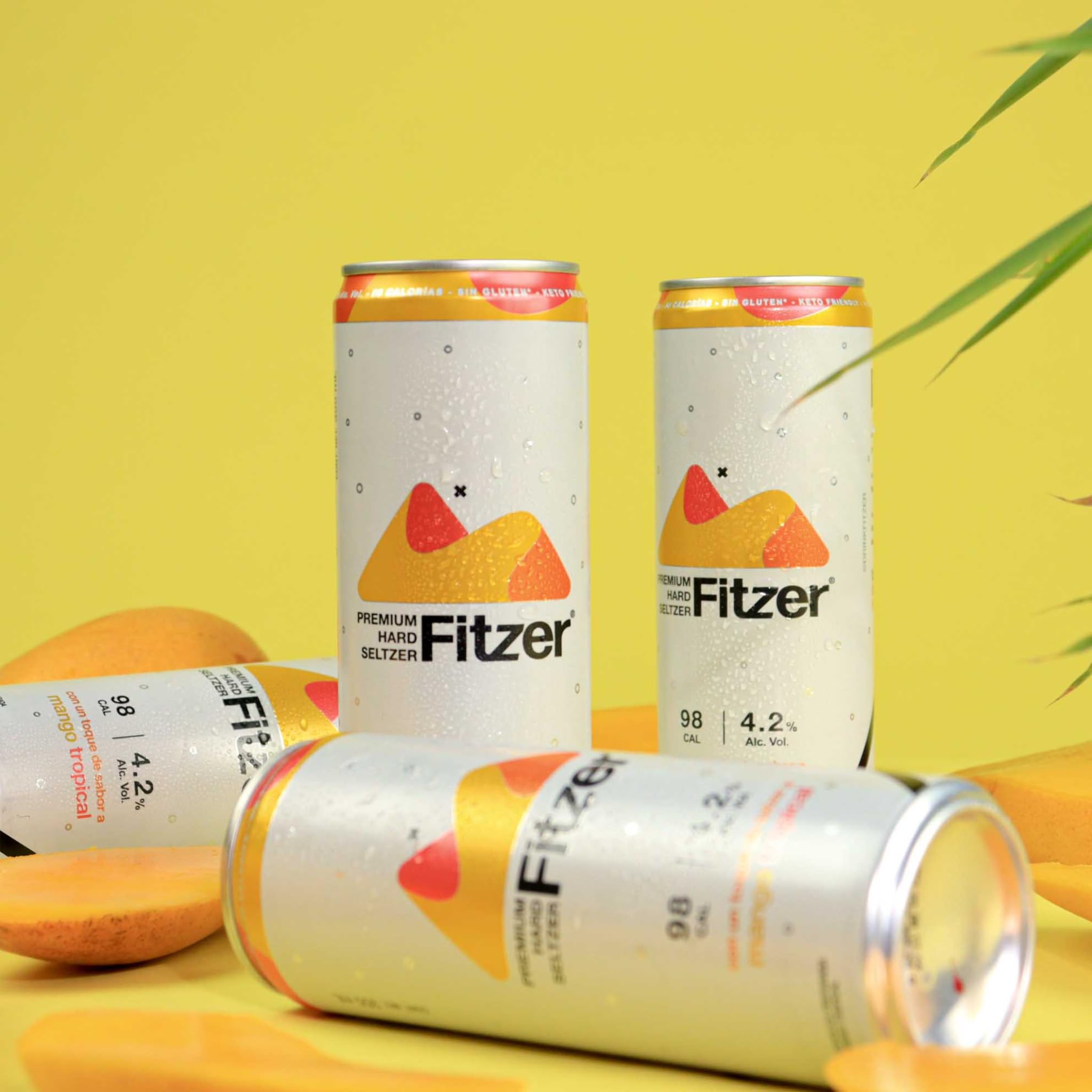 Fitzer Hard Seltzer Frutos Rojos, 51% OFF | www.pinnaxis.com