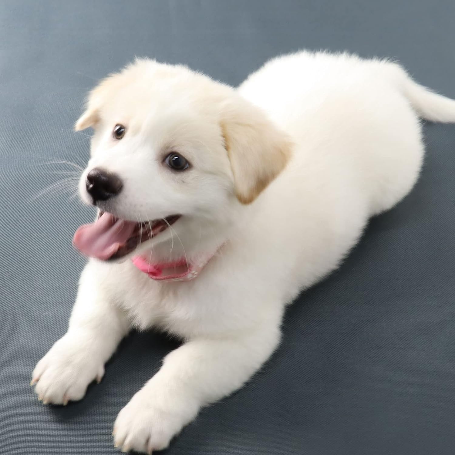 Tela de lona impermeable Tela de toldo marino resistente 1800D Cordura ...