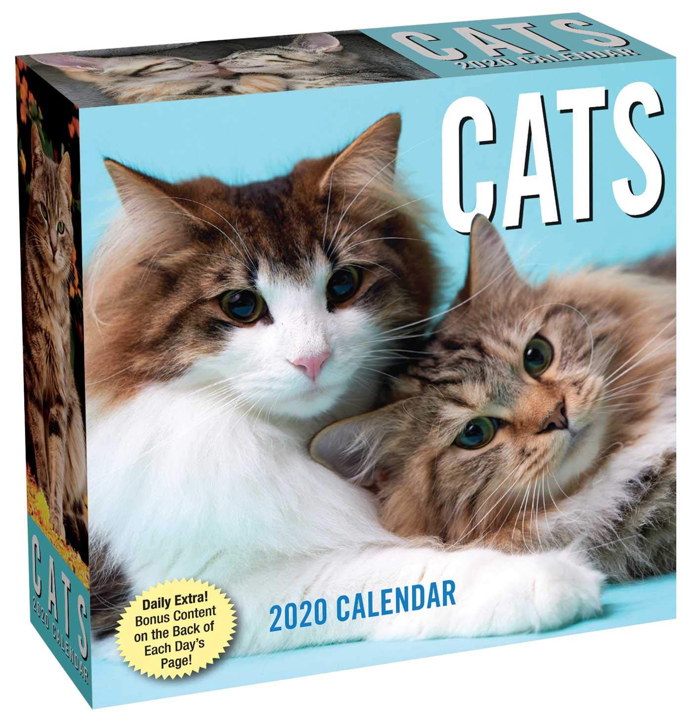Cats 2020 Day-to-Day Calendar: Andrews McMeel Publishing: 9781449497705 ...