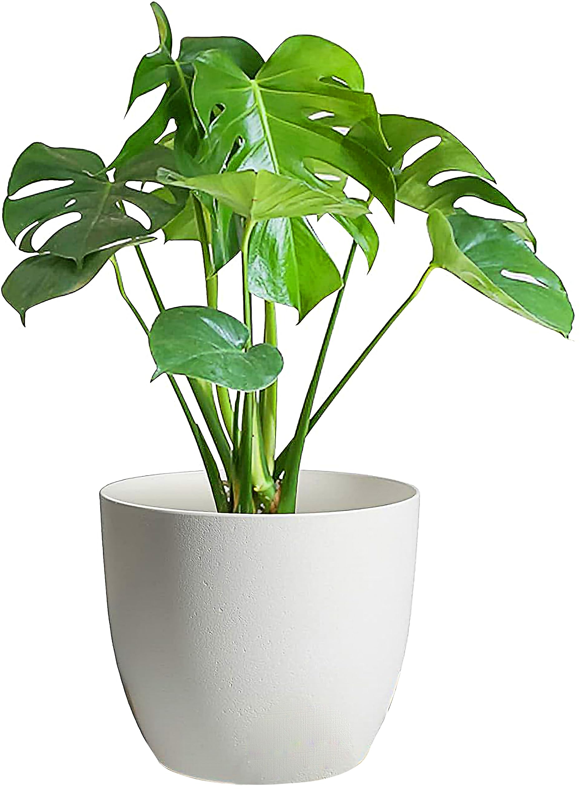 Modern Plastic Planters Utopia Home Plastic Planters Flower Nursery