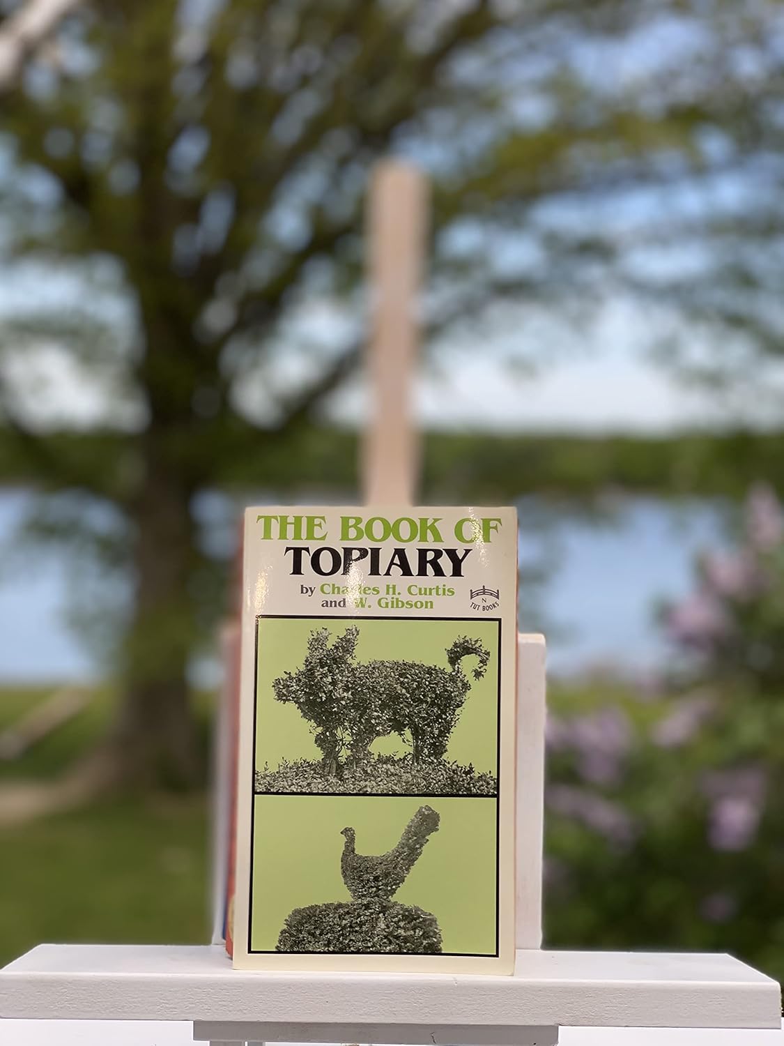 The Book of Topiary: Curtis, C. H., Gibson, W.: 9780804814911: Amazon ...