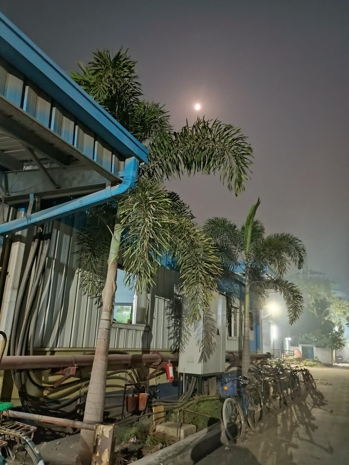 Motorola g64 5G (Pearl Blue, 256 GB) (12 GB RAM) : Amazon.in: Electronics