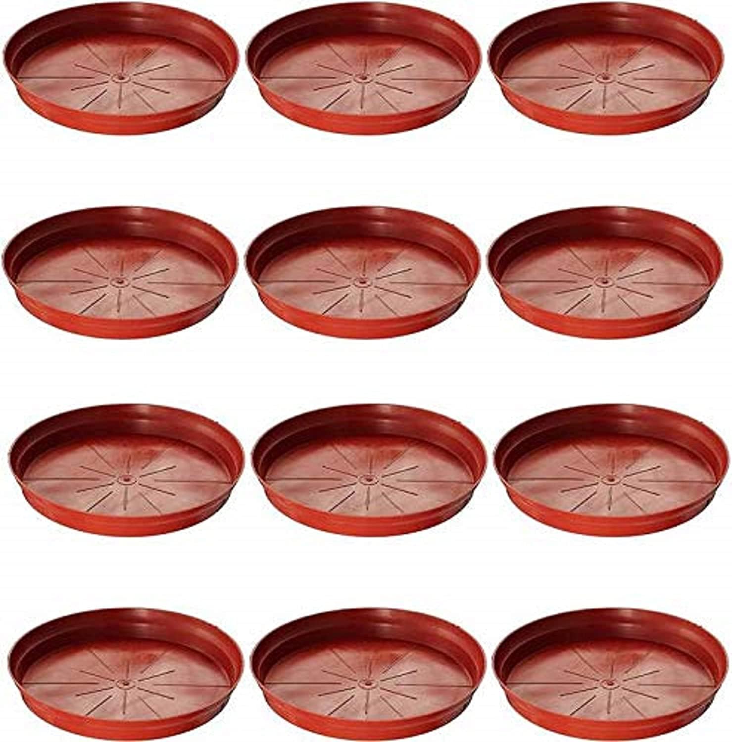 Plants Point Plastic Saucer Base Plate Planter Tray, Terracotta, 4 Inch ...