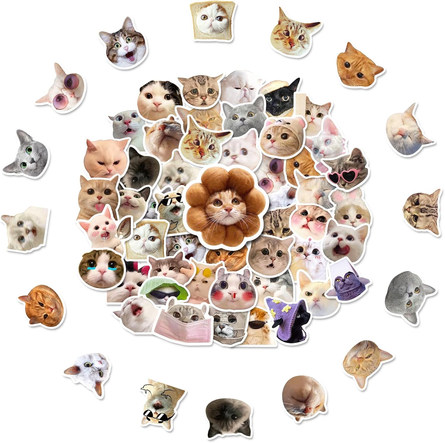 Funny Cat Stickers Set, Cute Cat Decals Waterproof Vinyl Stickers for ...