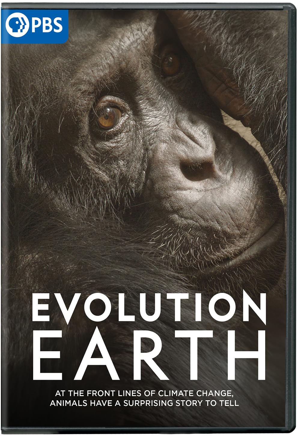 Amazon.com: Evolution Earth : n/a, Oliver Twinch, Nick Stringer ...