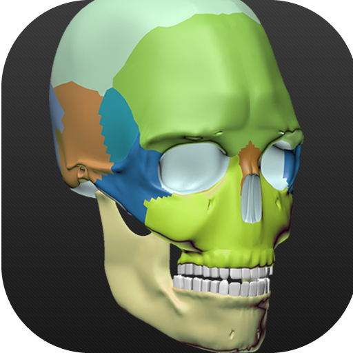 Bones Human 3D (anatomy) - App on Amazon Appstore