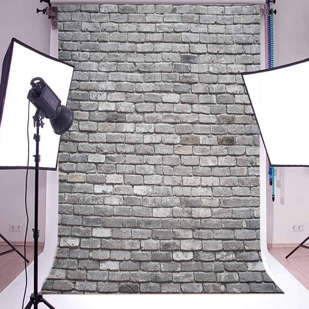Buy 8x12 FT Vinyl Photography Backdrop,Image of an Aged Old and Rough ...