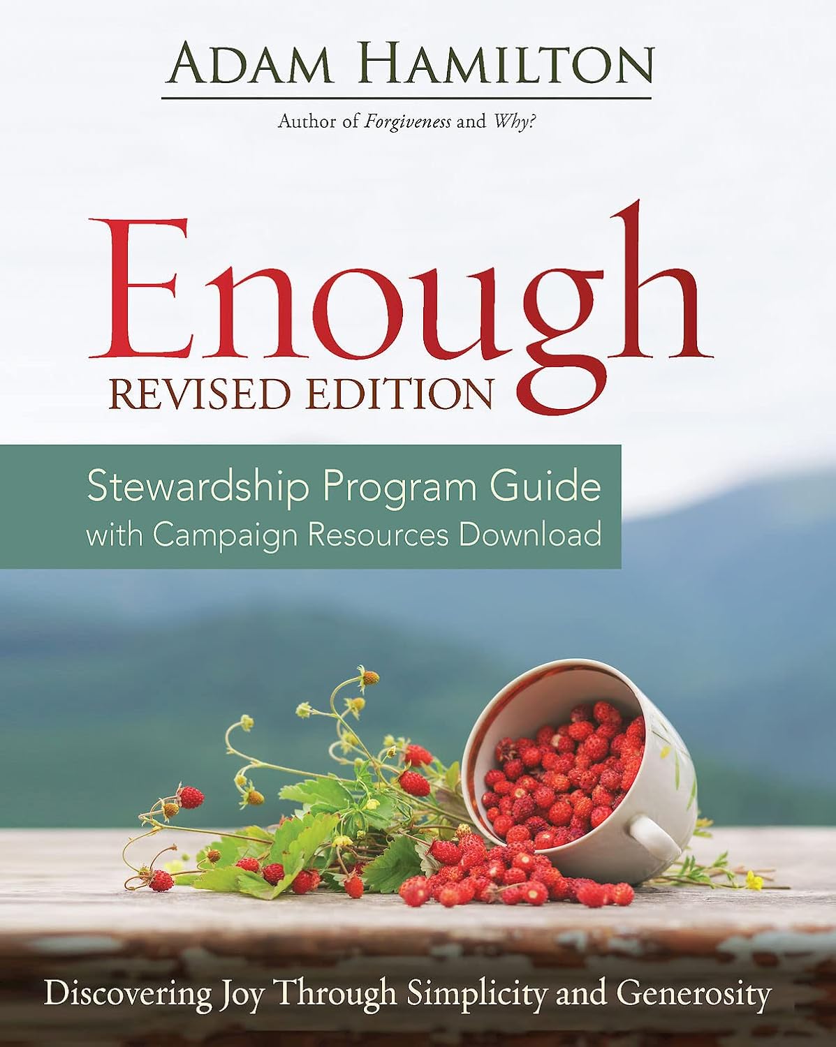 Buy Enough Stewardship Program Guide Revised Edition: Discovering Joy ...