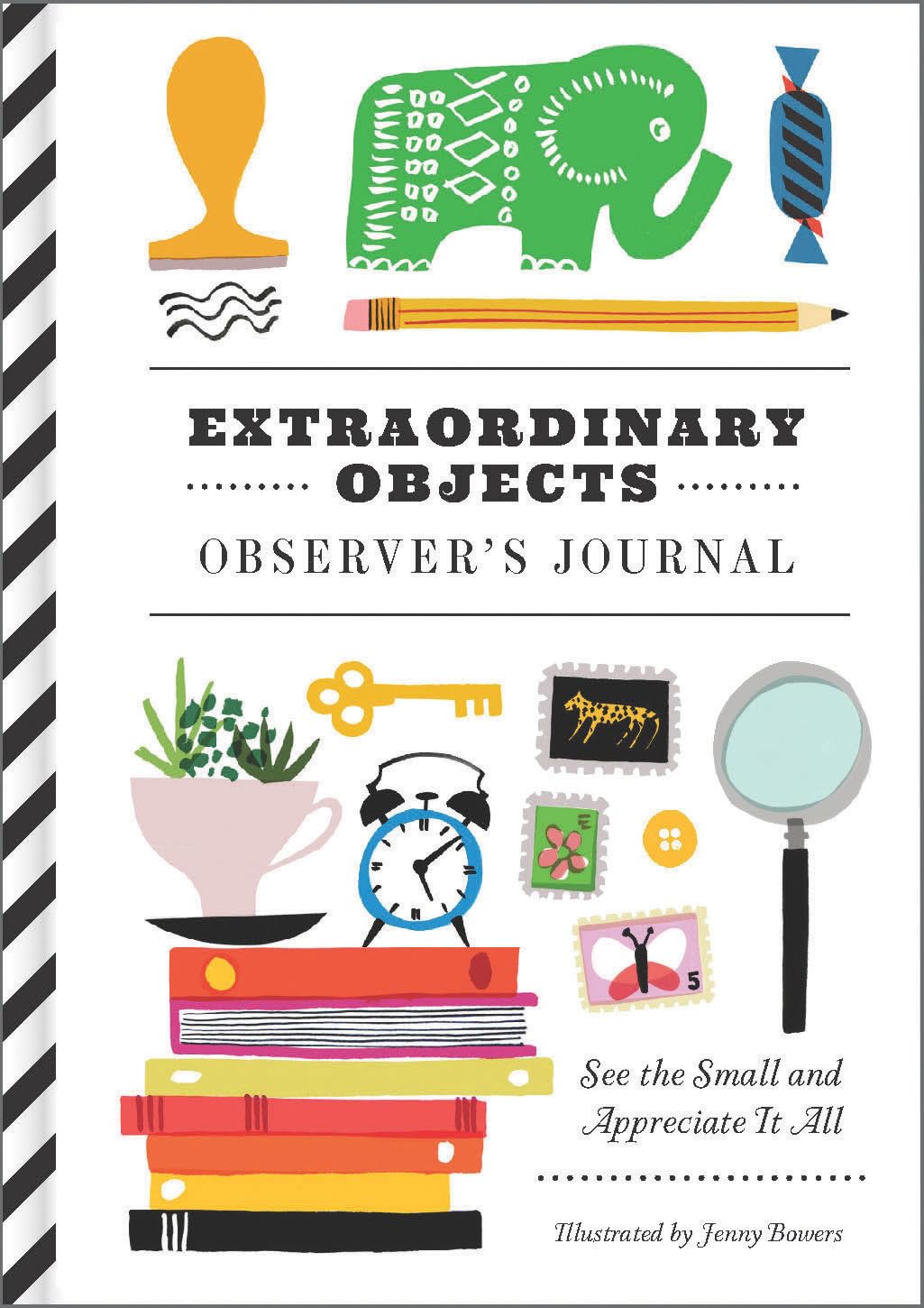 Amazon.com: Extraordinary Objects Observer's Journal: See the Small and ...
