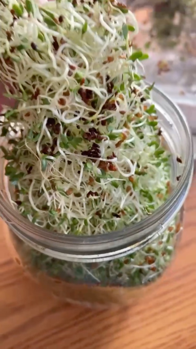 Watch Sprouts - Quick, easy to grow, and SO good! on Amazon Live