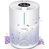 Amazon.com: BLUEAIR Mini Air Purifier For Bedroom, Small Room Air ...