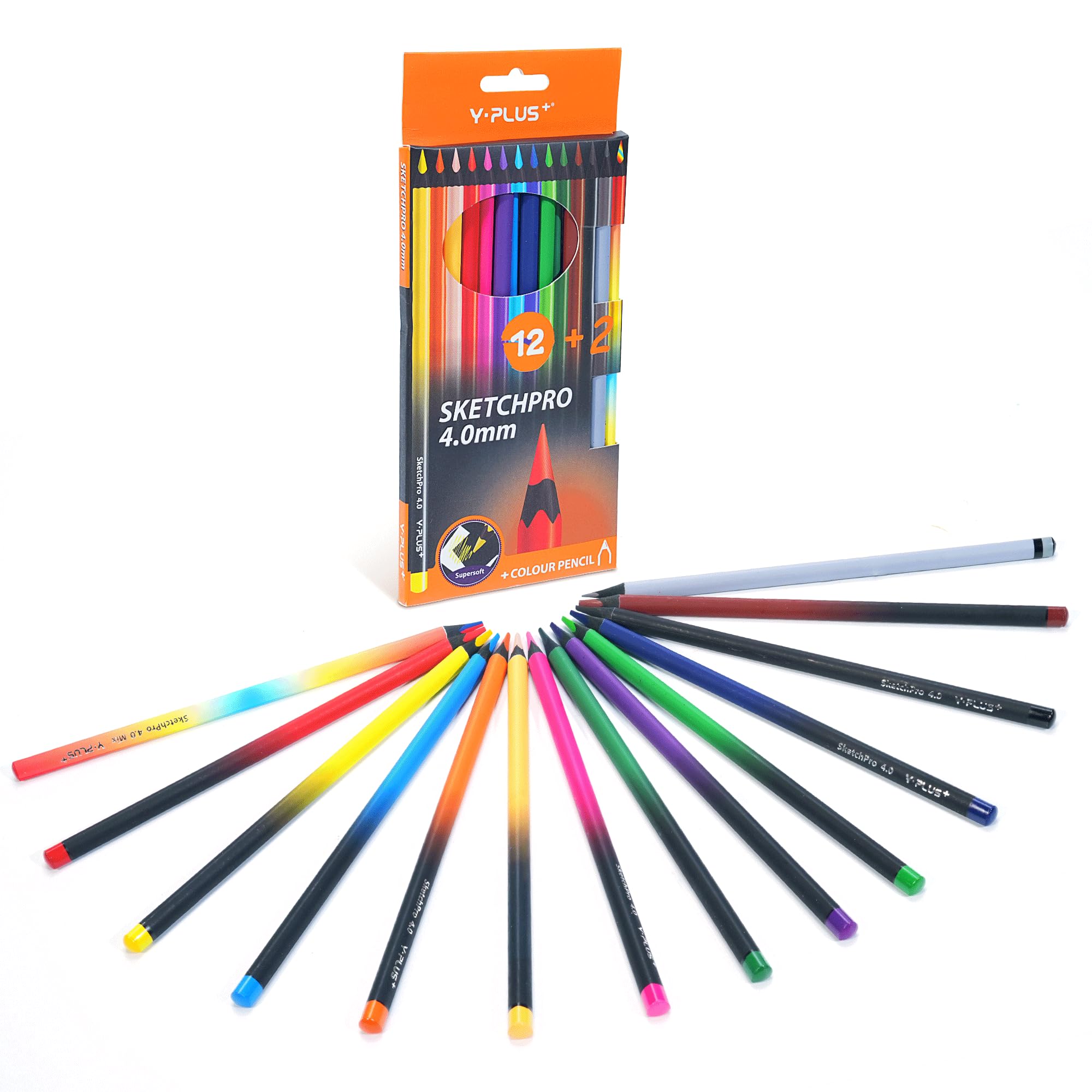YPLUS Colouring Pencils for Adults and Children, 12+2 Colour Coloring ...