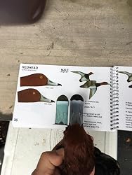 Waterfowl Identification: The LeMaster Method: Richard LeMaster ...