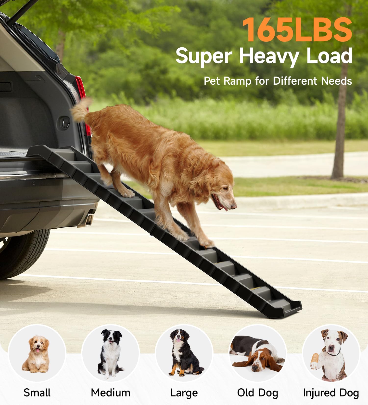 Dog Ramps For Semi Trucks The 8 Best Dog Stairs, Tested And Reviewed