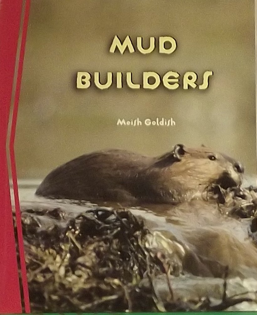 Mud Builder (Guided Reading) Newbridge Discovery Links Grade 4: Meish ...