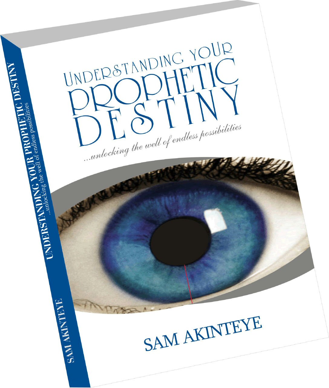 Amazon.com: Understanding Your Prophetic Destiny: Unlocking the well of ...