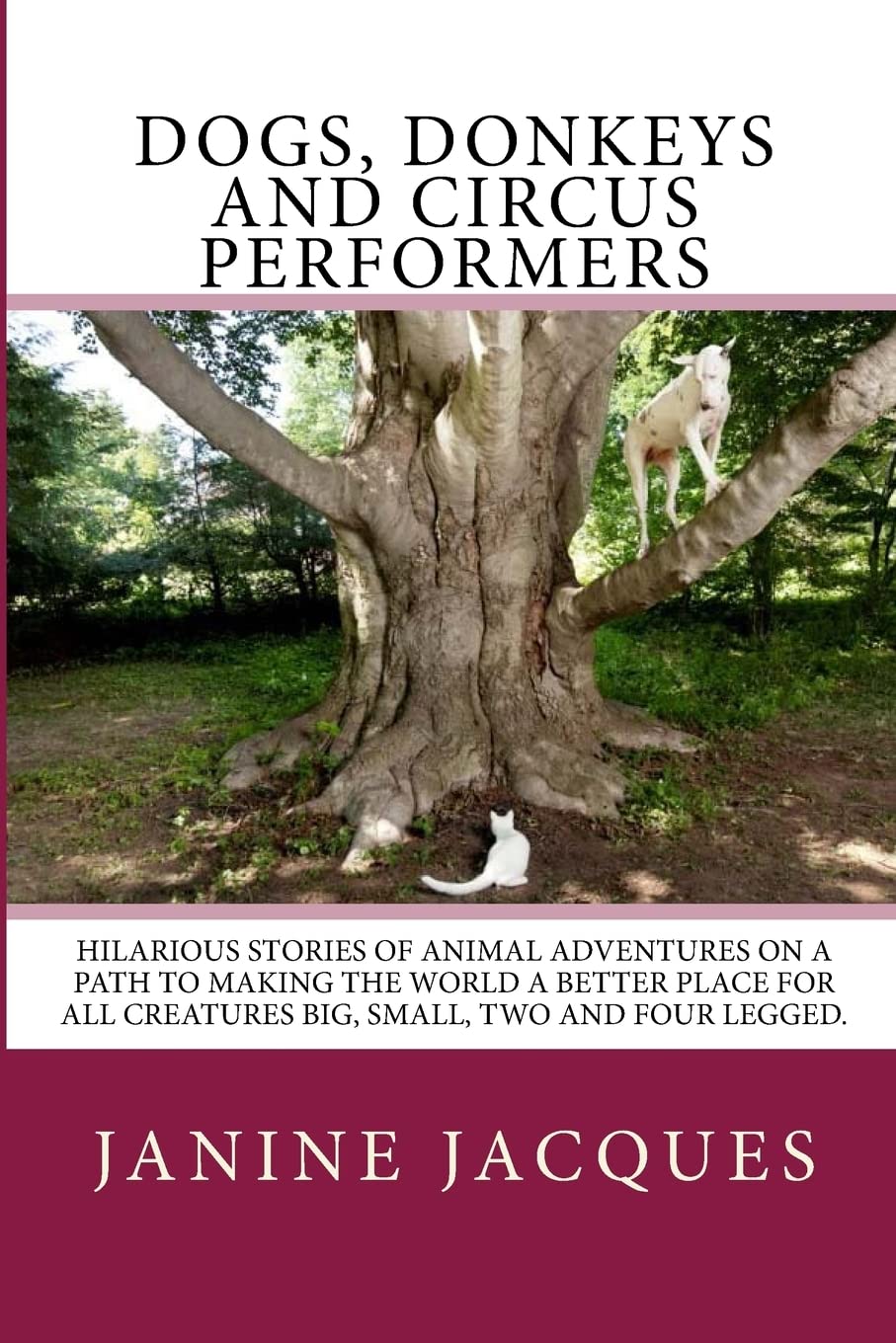 Dogs, Donkeys & Circus Performers: Hilarous stories of animal ...