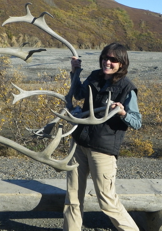 Amazon.com: Lisa Frederic: books, biography, latest update