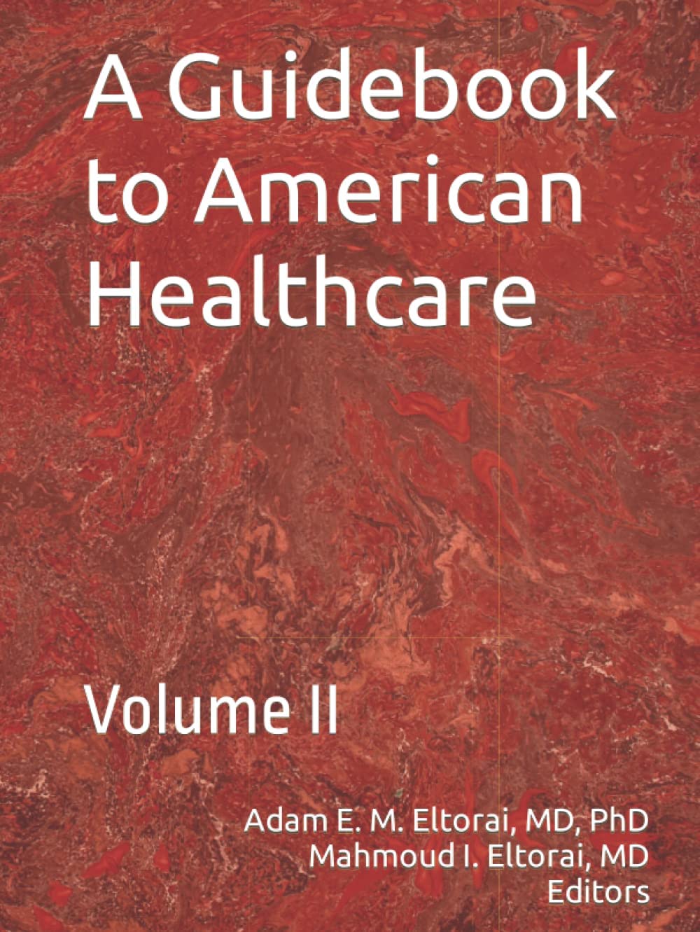 A Guidebook to American Healthcare: Volume II - Kindle edition by ...