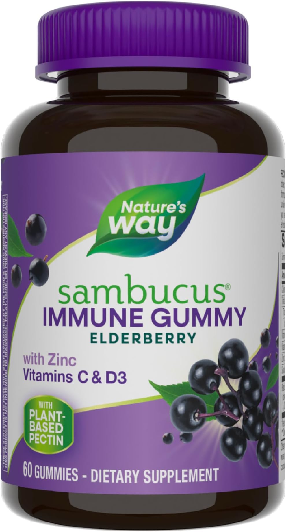 Amazon.com: Garden of Life, Dr. Formulated Elderberry Immune Gummies ...