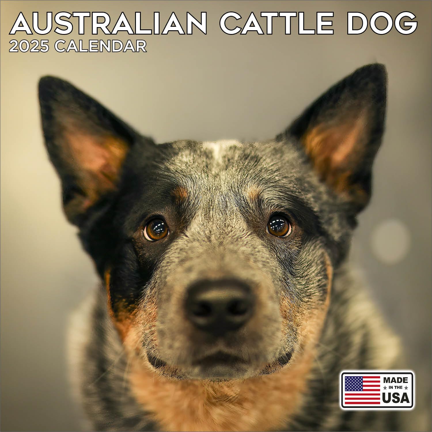 2025 Australian Cattle Dog Calendar - Dog Breed Wall Calendar - 12 x 24 ...