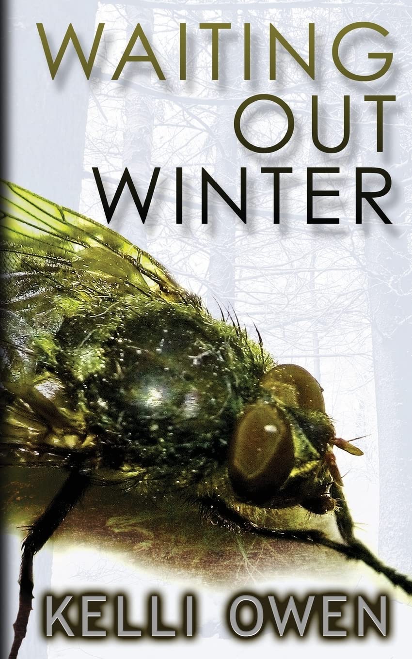 Waiting Out Winter: Owen, Kelli: 9781491276174: Amazon.com: Books
