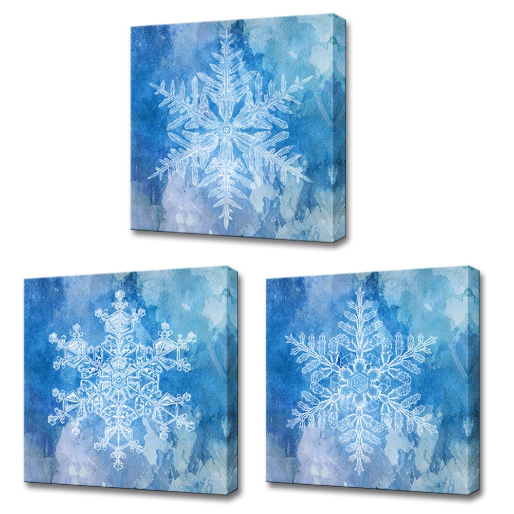 Amazon.com: LoveHouse 3 Piece Winter Theme Snowflake Canvas Wall Art ...