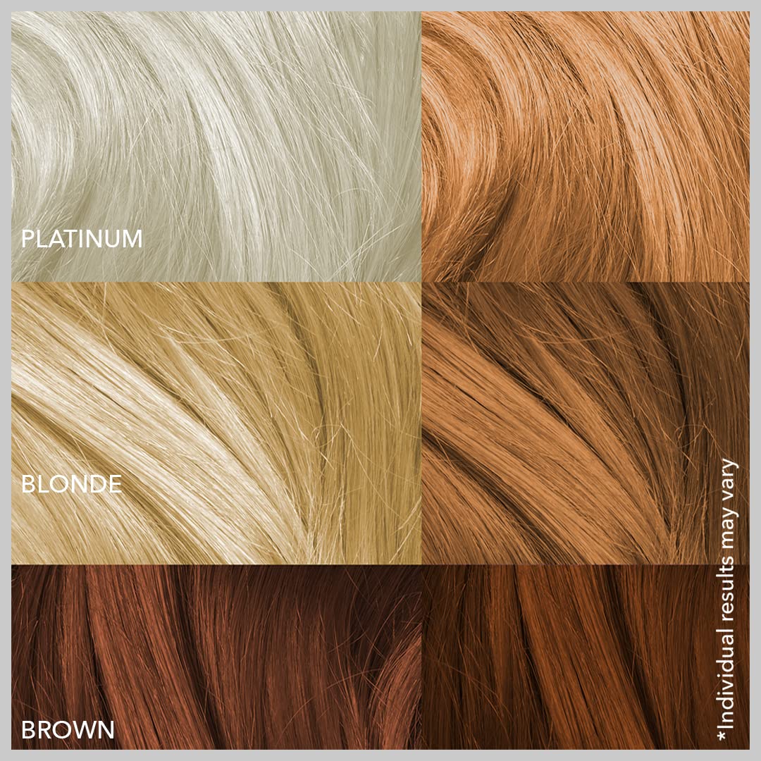 Honey Blonde Hair Color Chart The Blonde Chart Different Shades Of