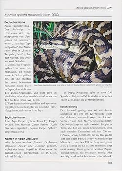 Irian Jaya Teppichpython