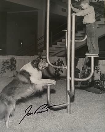 Jon Provost Lassie Original Autographed 8X10 photo #30 at Amazon's ...