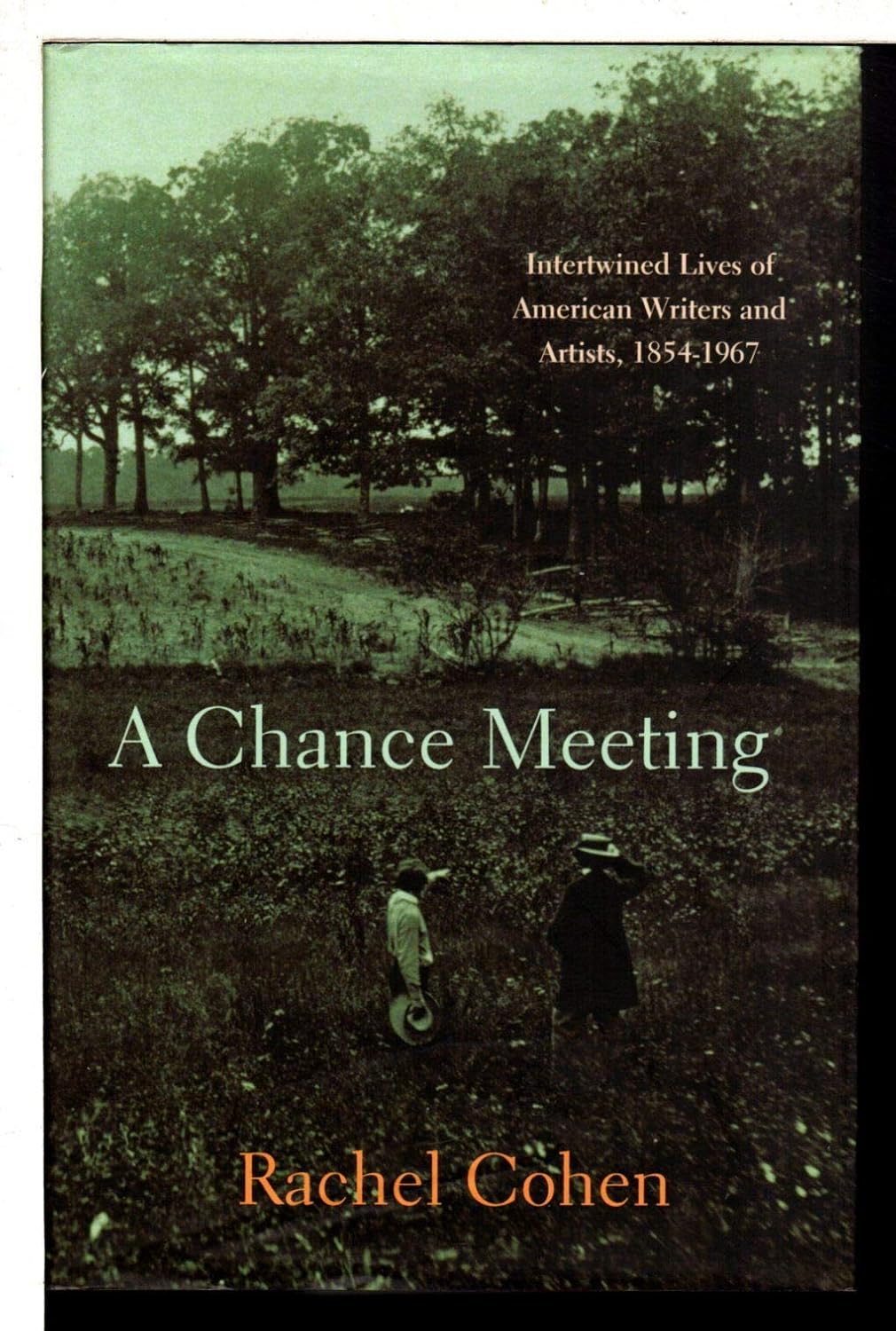 A Chance Meeting : Intertwined Lives of American Writers and Artists ...