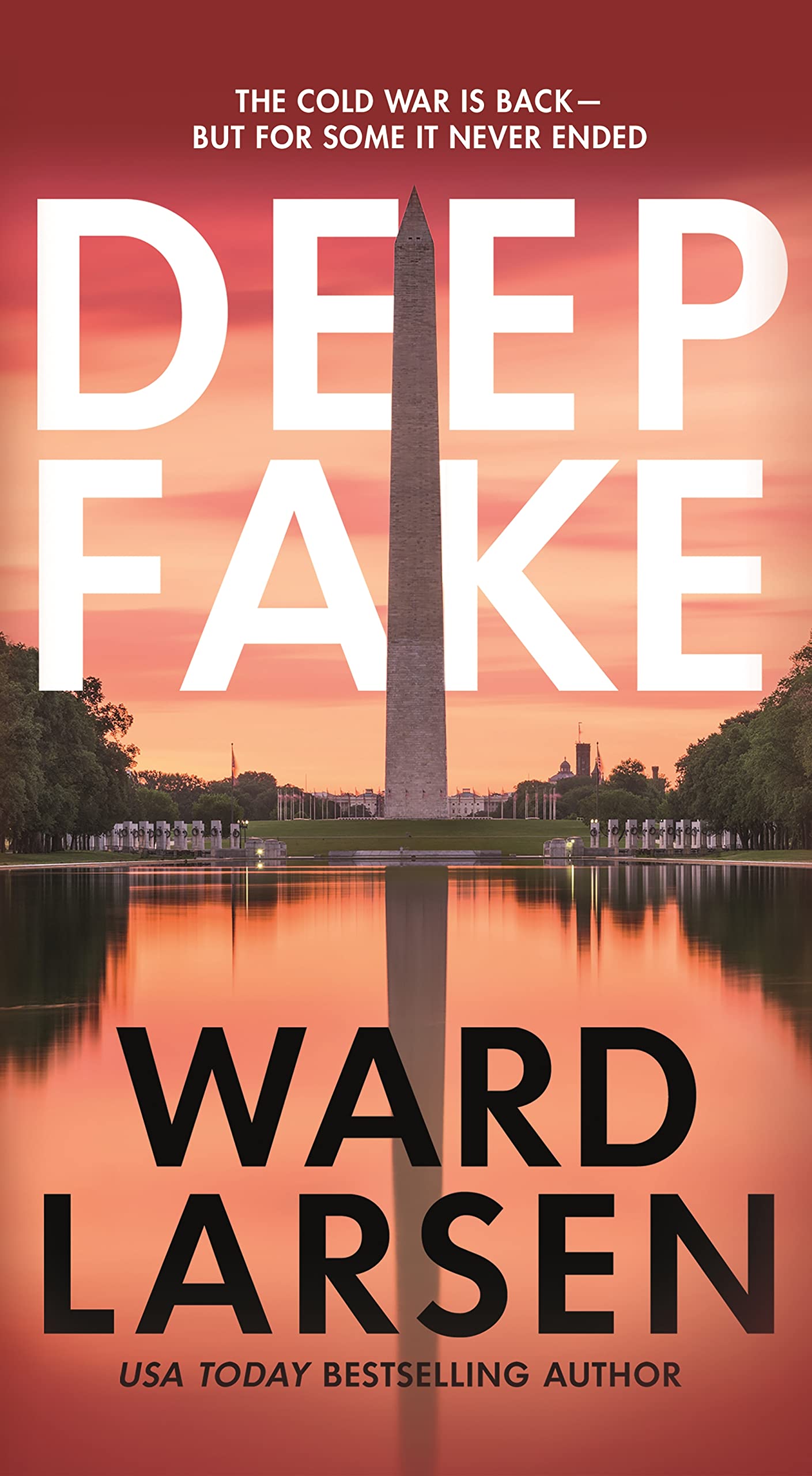 Deep Fake: A Thriller: Larsen, Ward: 9781250798213: Amazon.com: Books