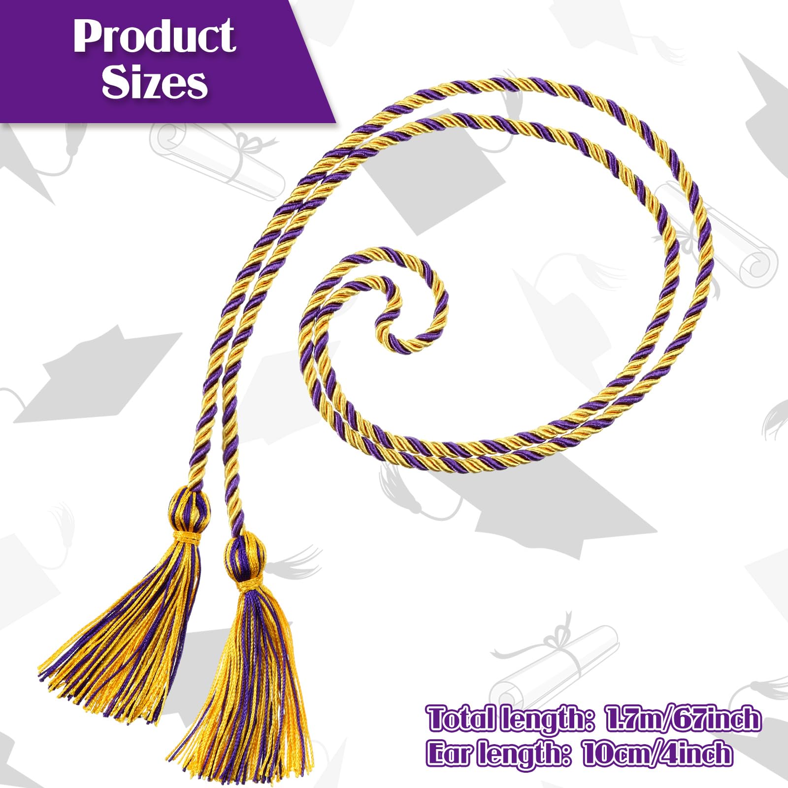 Snapklik.com : Shappy 20 Pcs Graduation Cord Bulk Gold And Purple ...