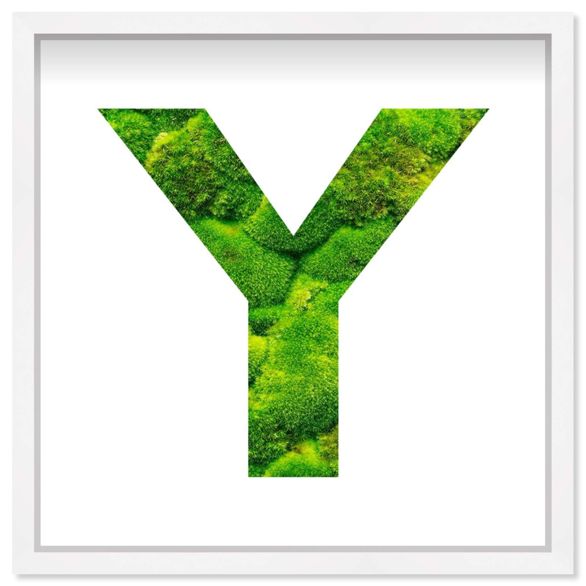 Letter Y In Nature
