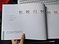 The Silver Way: Techniques, Tips, and Tutorials for Effective Character ...