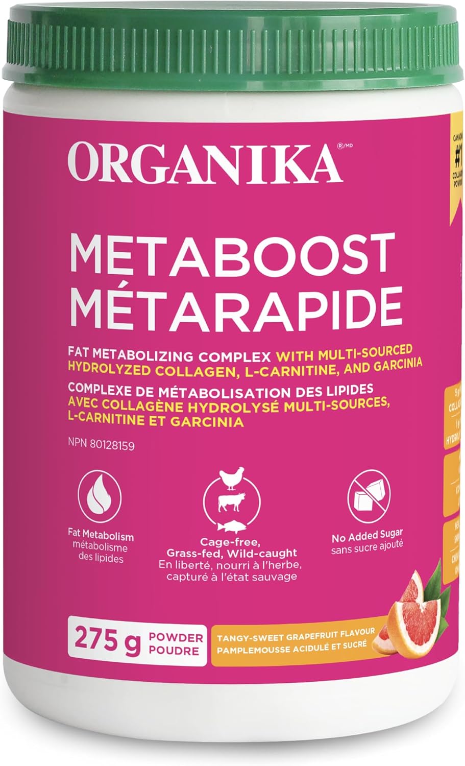 Organika Metaboost Powder - Collagen, L-Carnitine and Garcinia - Fat Metabolism, Aids Weight ...