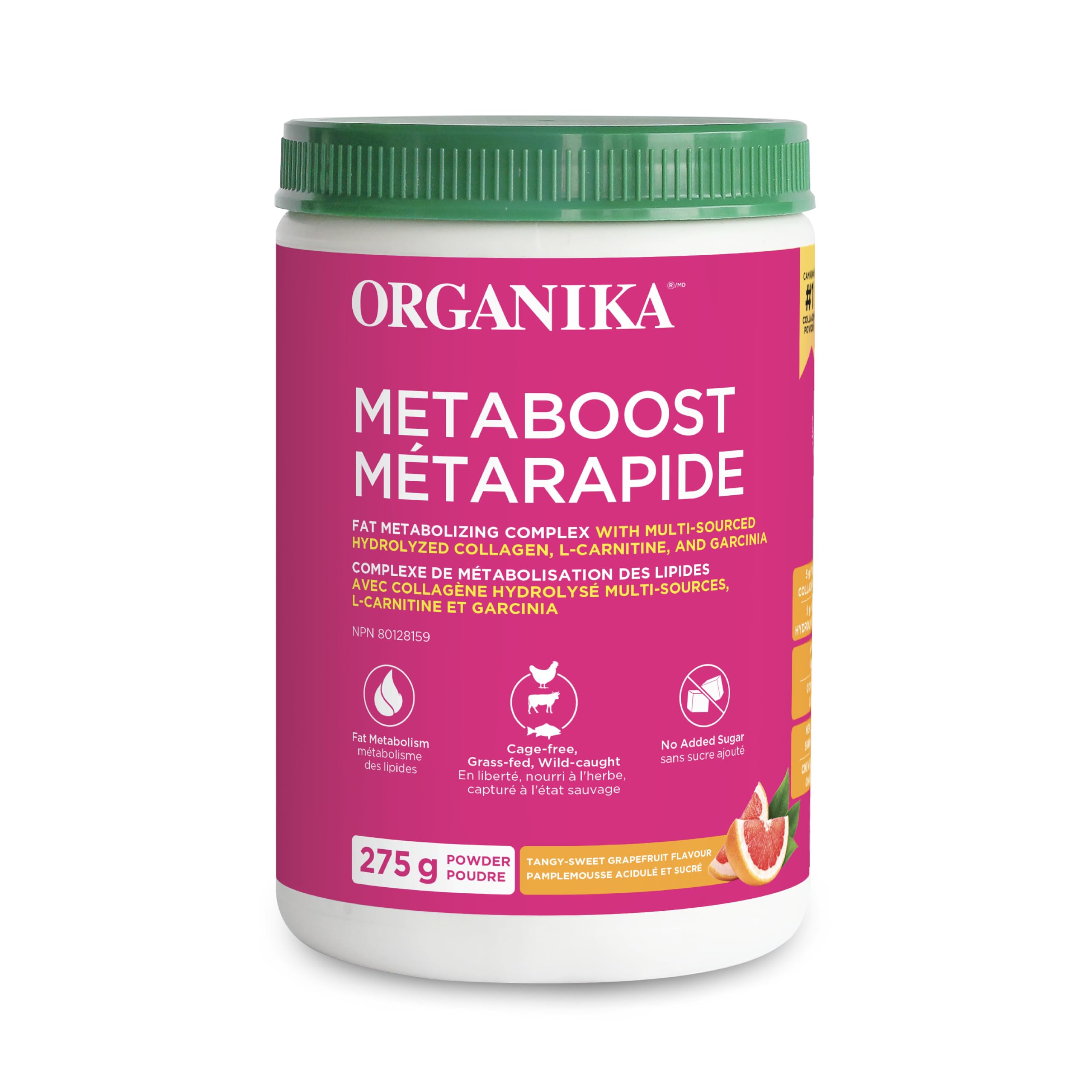 Organika Metaboost Powder - Collagen, L-Carnitine and Garcinia - Fat ...