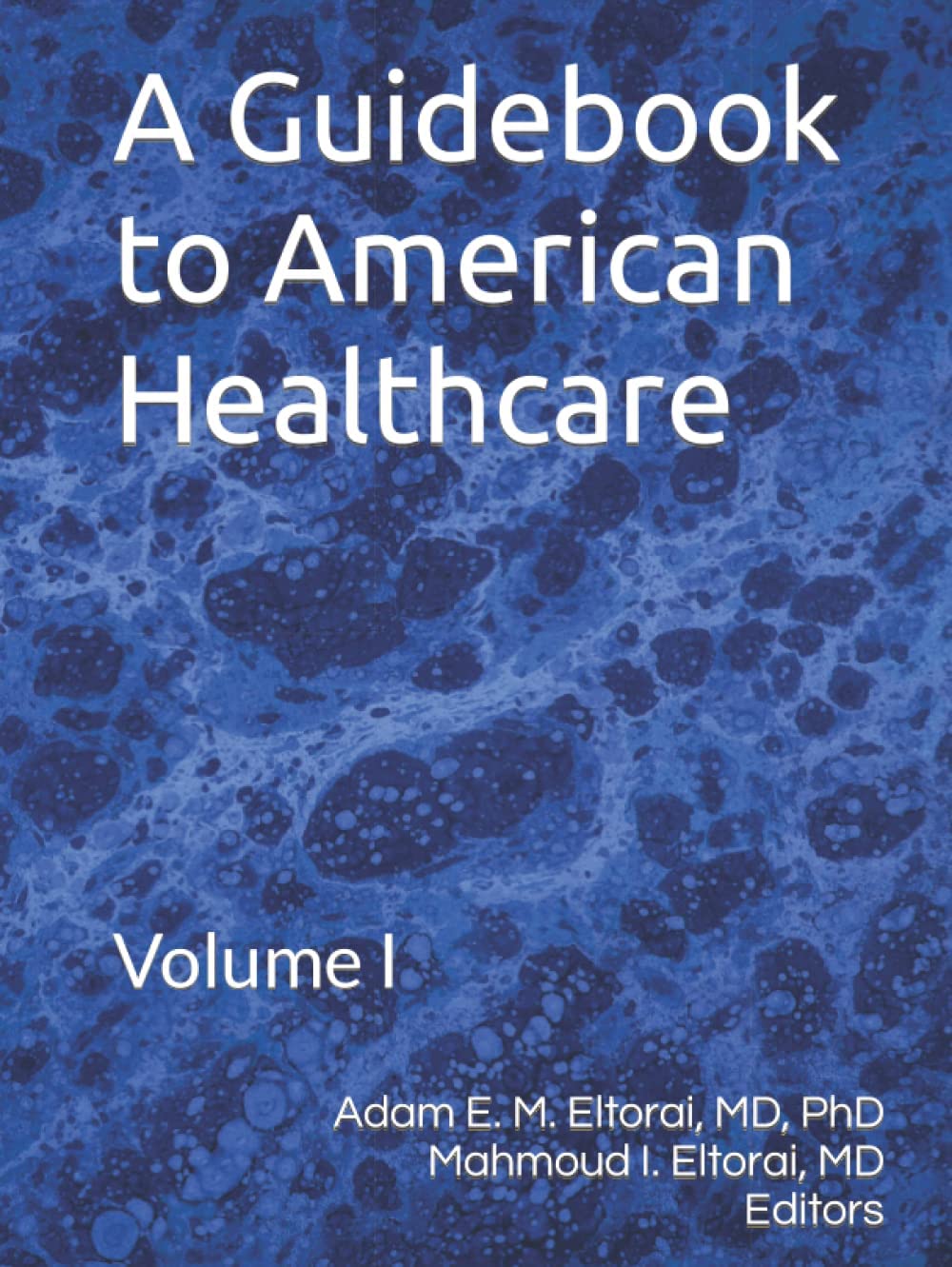 A Guidebook to American Healthcare: Volume I - Kindle edition by ...