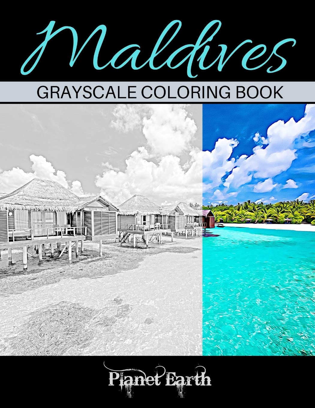 Maldives Grayscale Coloring Book: Adults Coloring Book with Beautiful ...