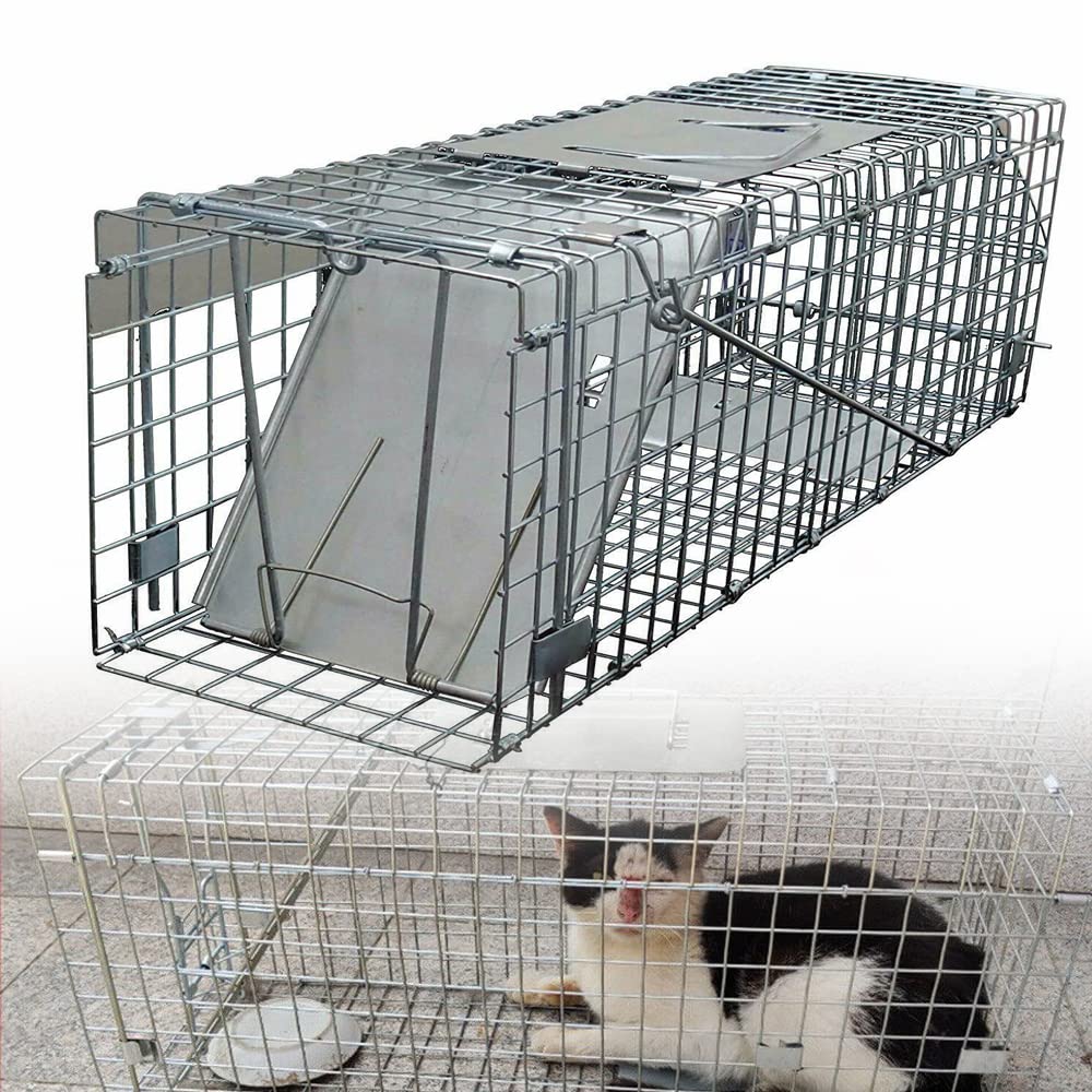 Humane Live Animal Trap Catch and Release for Chipmunks, Squirrels ...