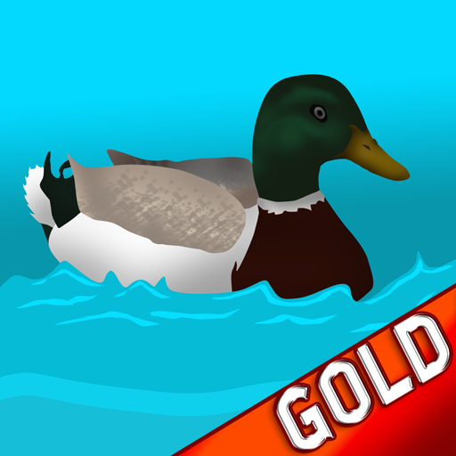 Tiny Plastic Duck Racing : Summer Water Race to Win - Gold Edition ...