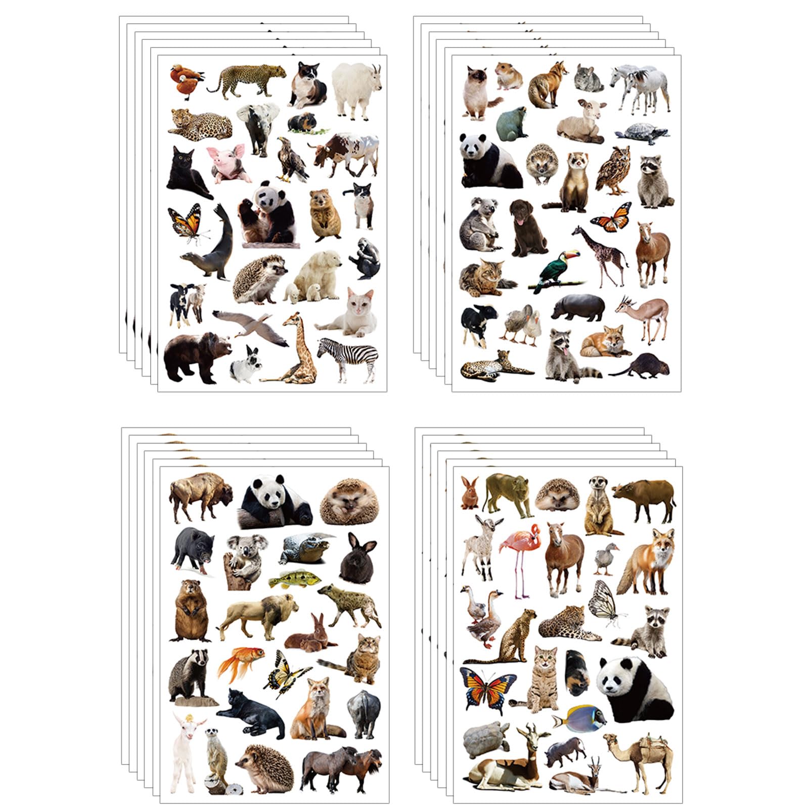 Amazon.com: 24pcs Wild Animals Stickers for Kids, Jungle Animal ...