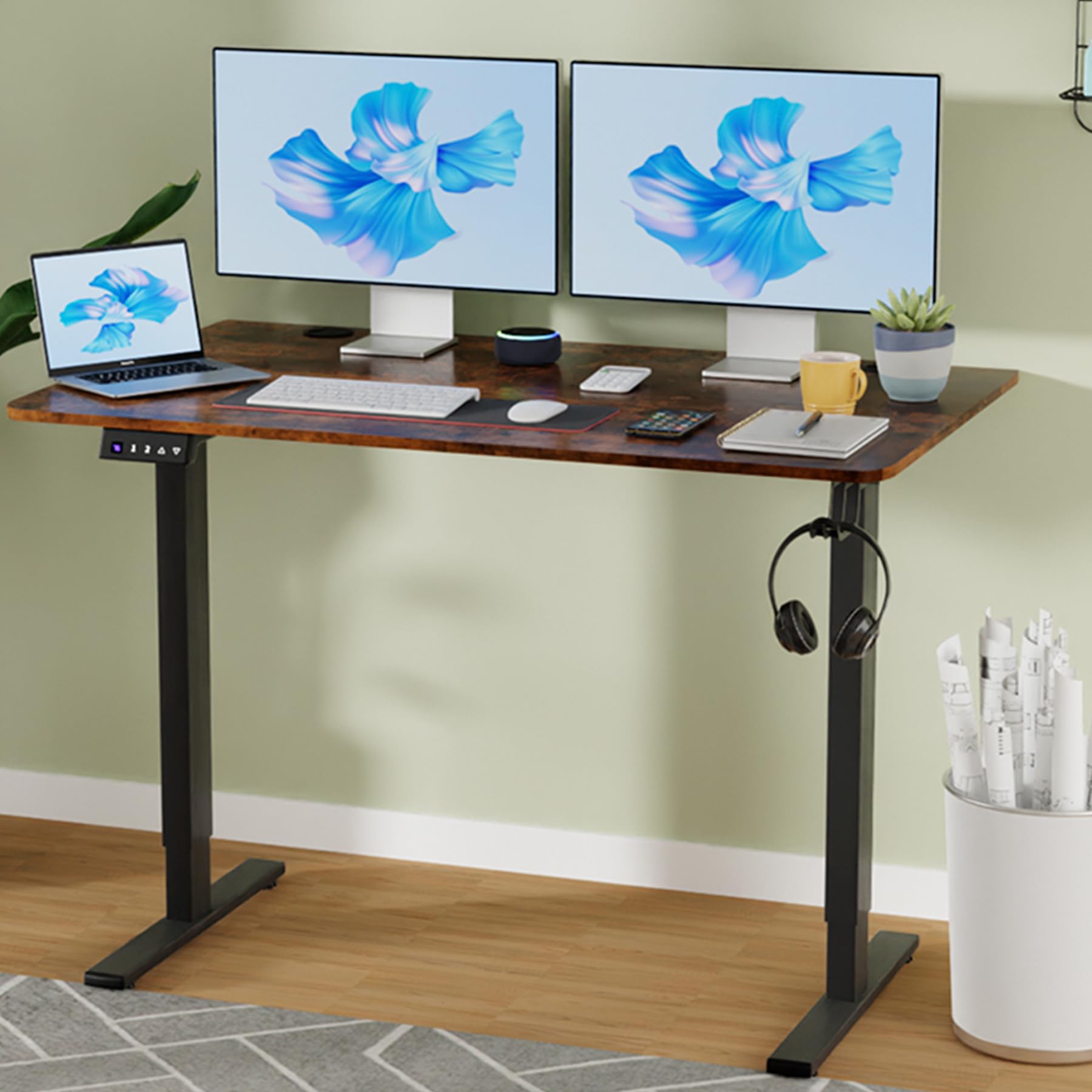 Amazon.com: BLKMTY Electric Standing Desk Adjustable Height Computer ...
