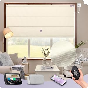 Amazon.com: Graywind Smart Roman Shades Compatible with Alexa Google ...