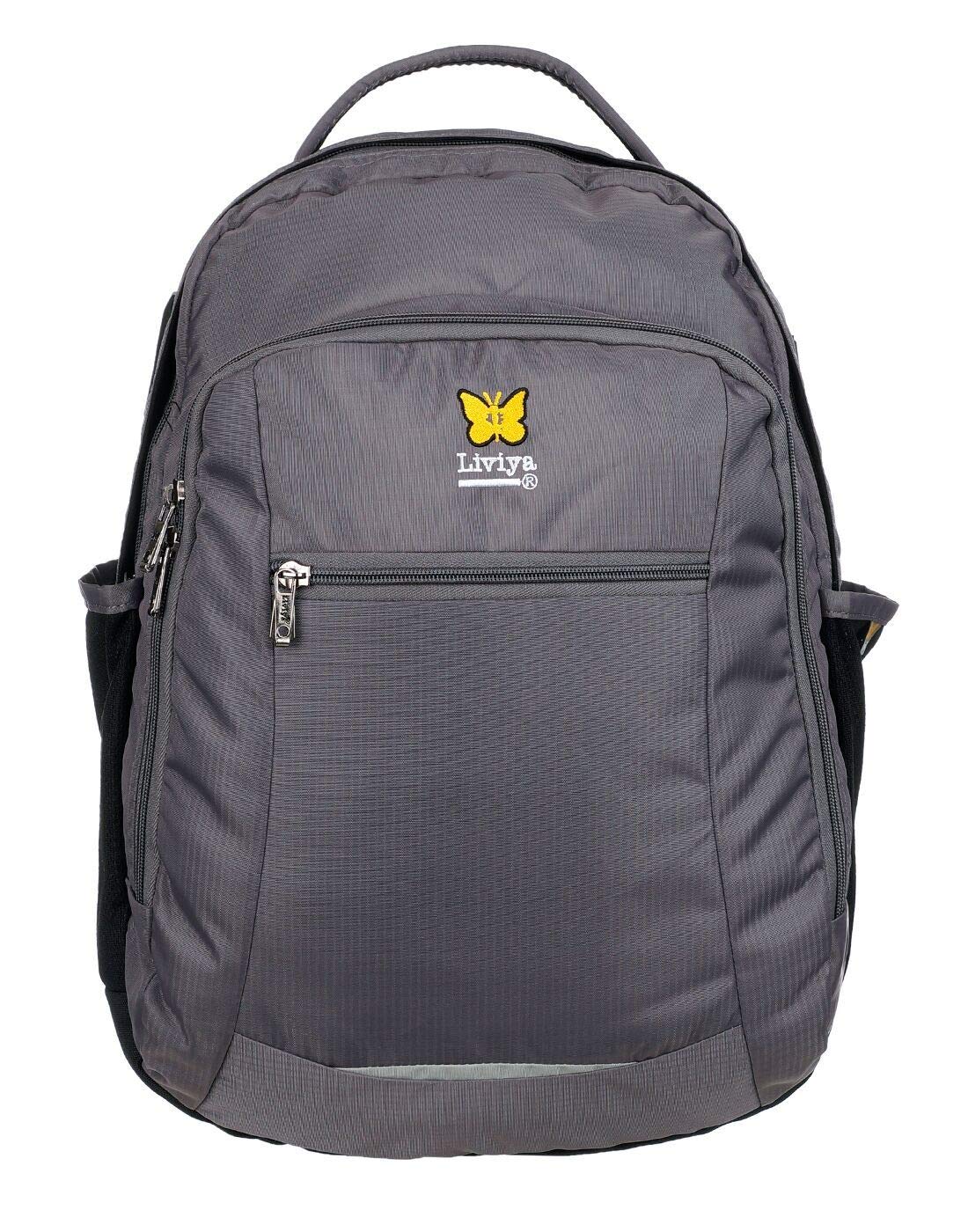 Buy Liviya 39 Litre Comfortable Grey Design Bags for School/College ...