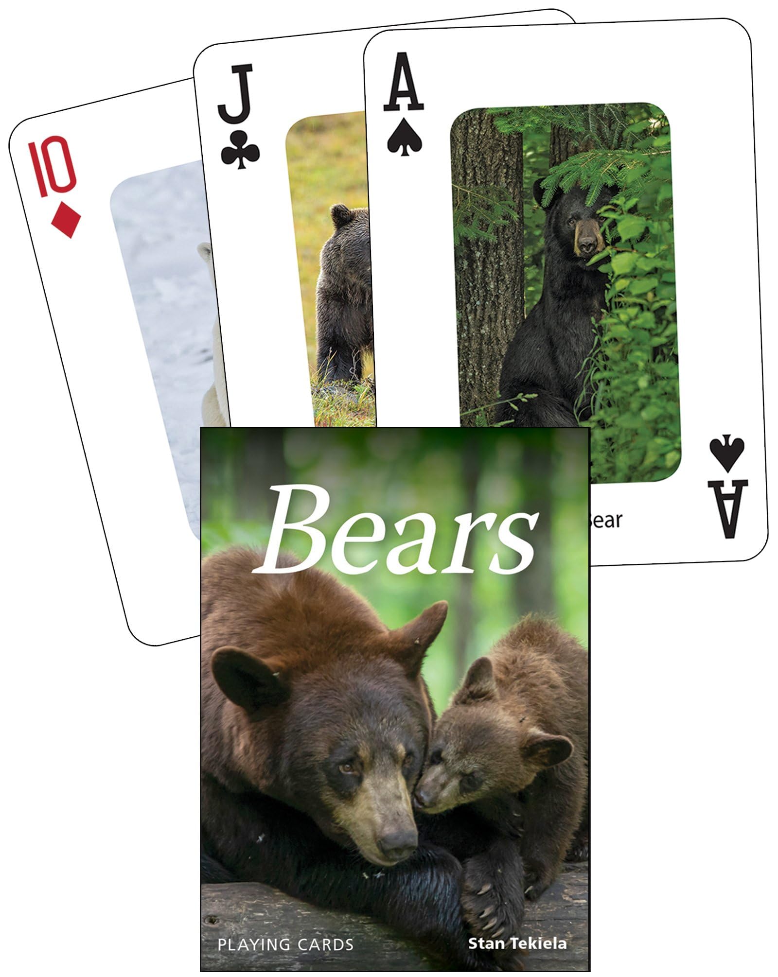 Bears Playing Cards (Nature's Wild Cards): Tekiela, Stan: 9781591939573 ...